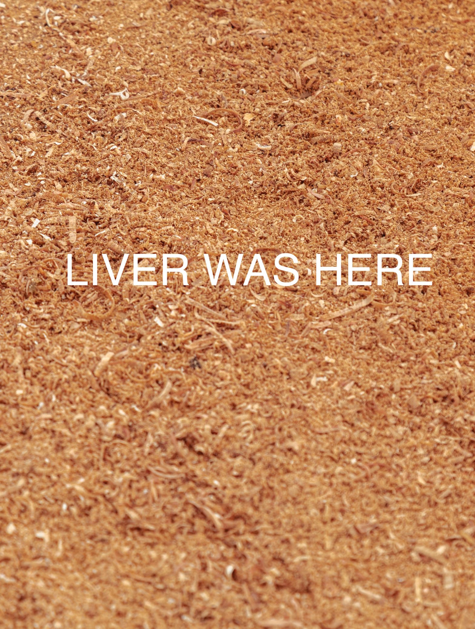A Very Professional Archeological Discovery About Nitwits vs. Non ...